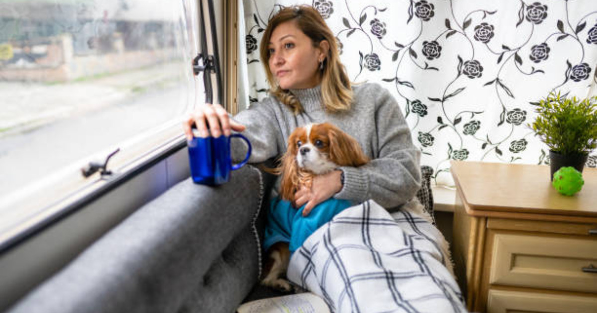 Pets and Mental Health: How Pets Reduce Mental Distress - MindShift ...